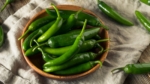 How to Plant, Grow, and Care for Serrano Peppers