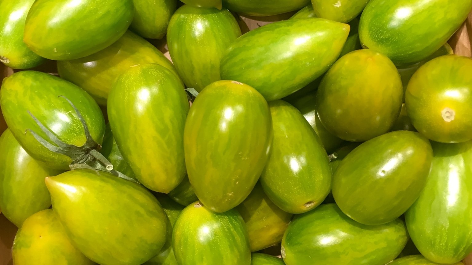 7 Unique and Unusual Tomatoes That Wow in the Garden