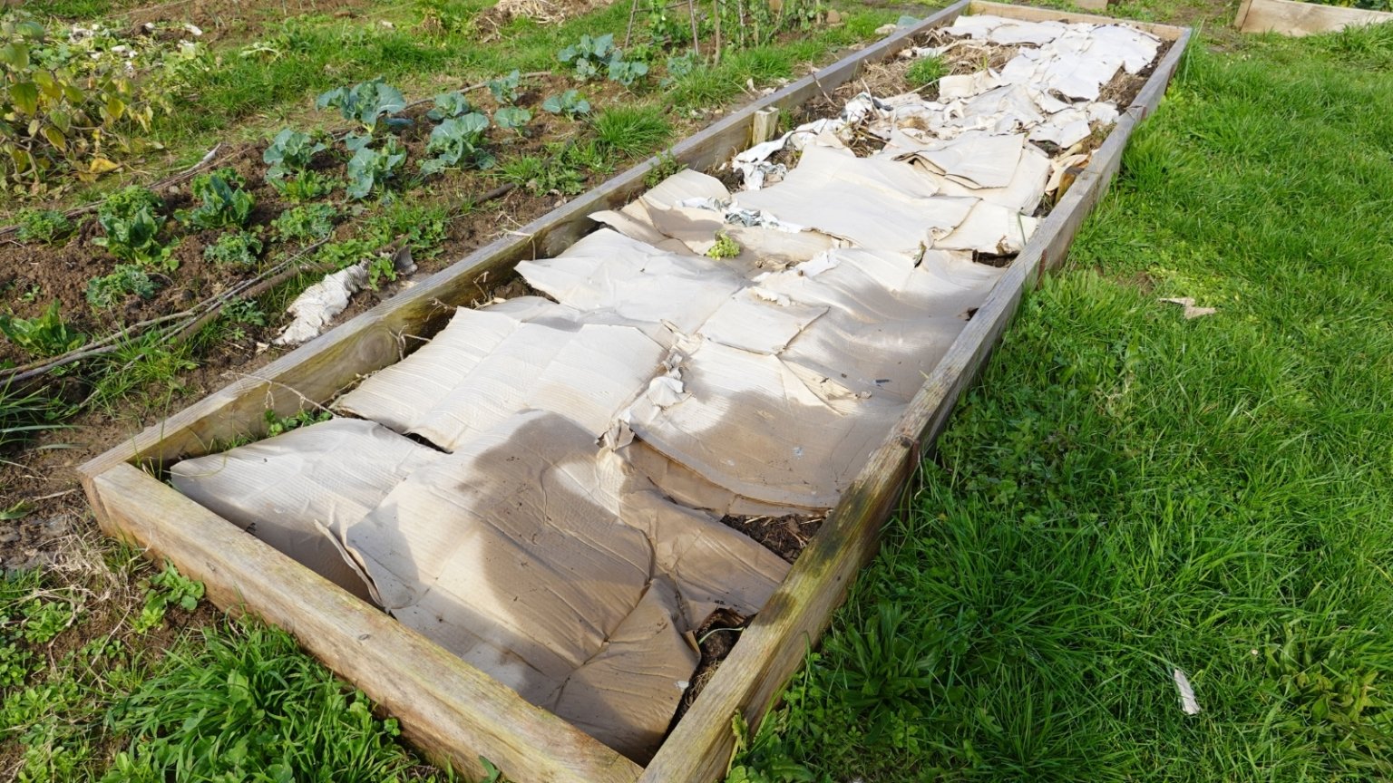 How to Prepare the Ground for Raised Beds in 7 Steps