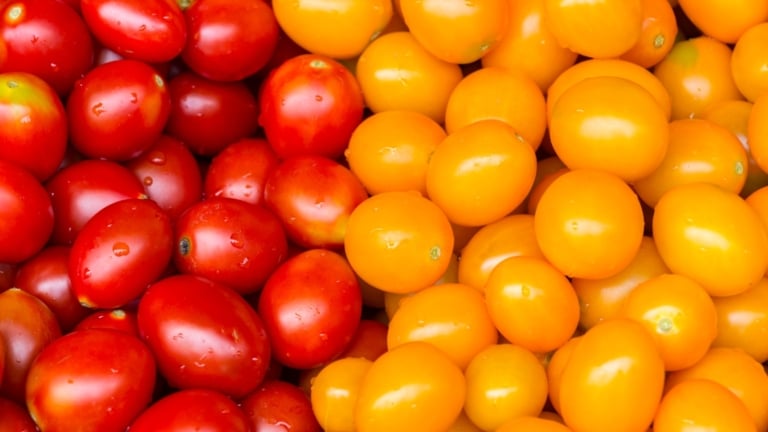 17 Cherry Tomatoes for Your Summer Garden