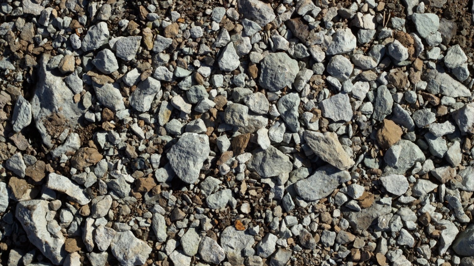 How to Plant, Grow, and Care for Hummingbird Bush