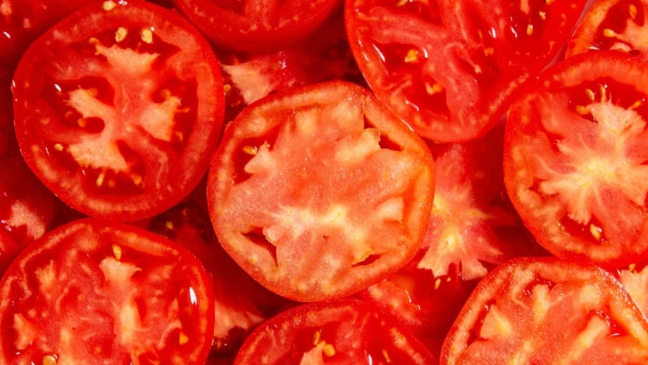 How to Plant, Grow, and Care for 'Celebrity' Tomatoes