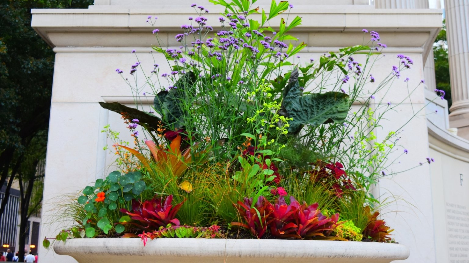 9 Container Combinations To Attract Pollinators