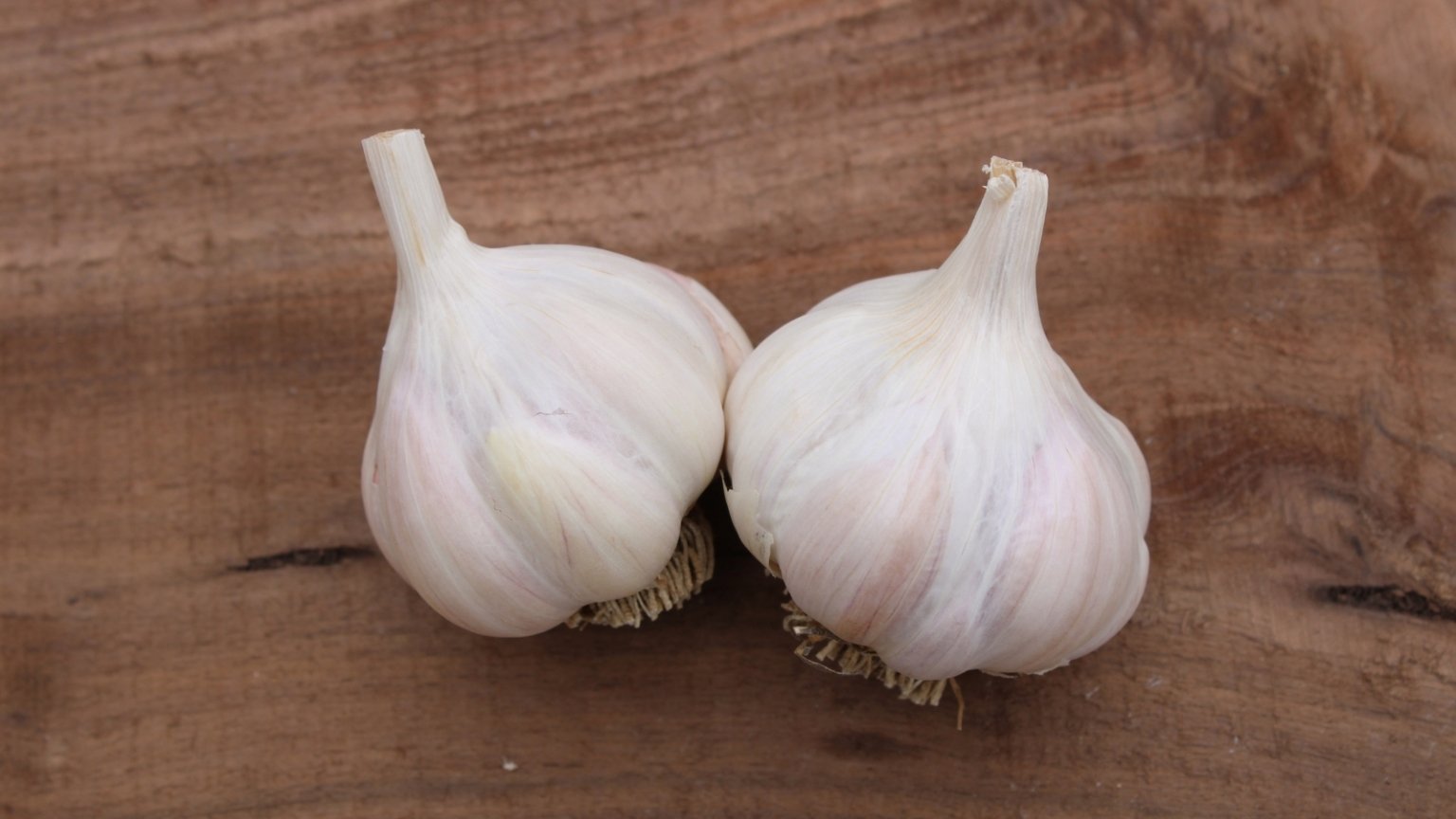 How to Grow Garlic in Raised Beds: A Complete Guide
