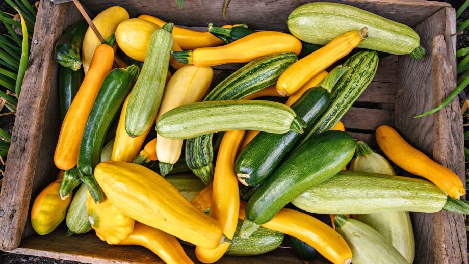 How to Grow Squash in Raised Beds: 9 Pro Tips