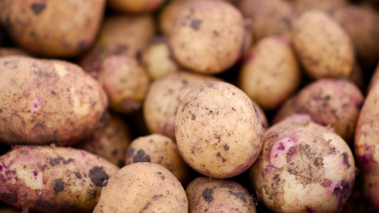 9 Tips for Growing Loads of Potatoes in Raised Beds
