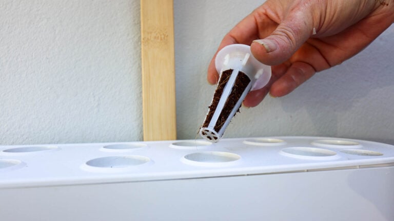 A Beginner's Guide to Starting Seeds for Hydroponics - Epic Gardening