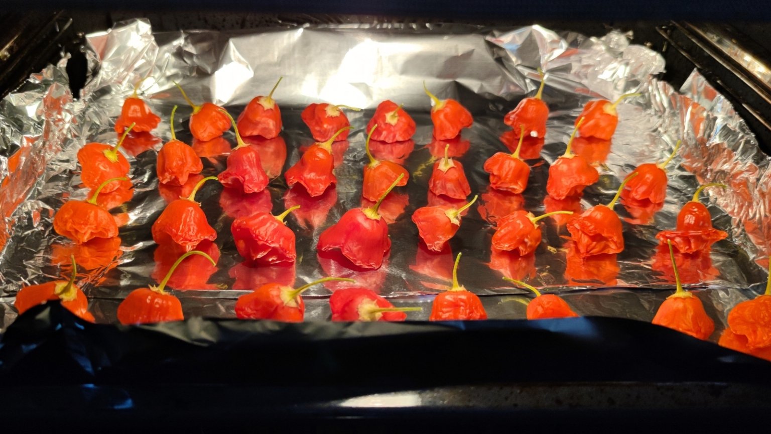 How to Dry and Store Hot Peppers