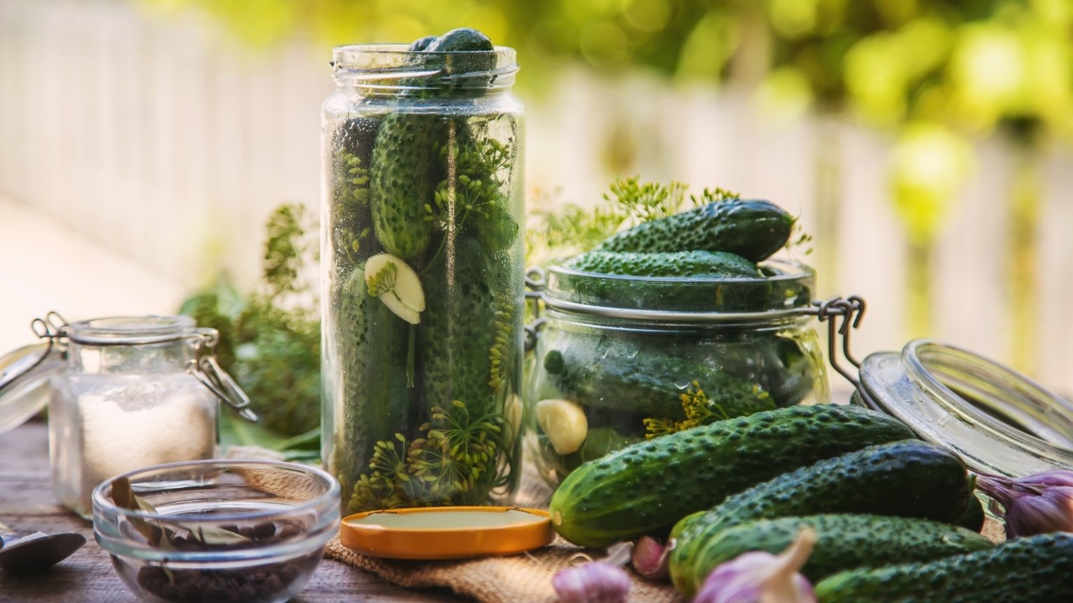 9 Best Cucumbers for Pickling