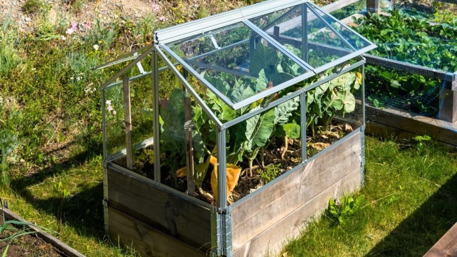 How to Turn a Raised Bed into a Greenhouse