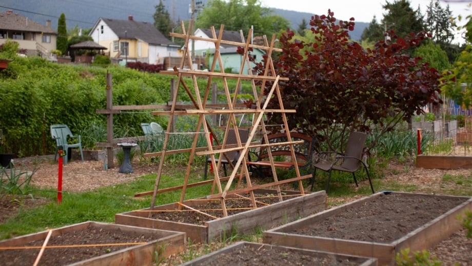 50 Tomato Trellis Designs (Completely Free) - Epic Gardening