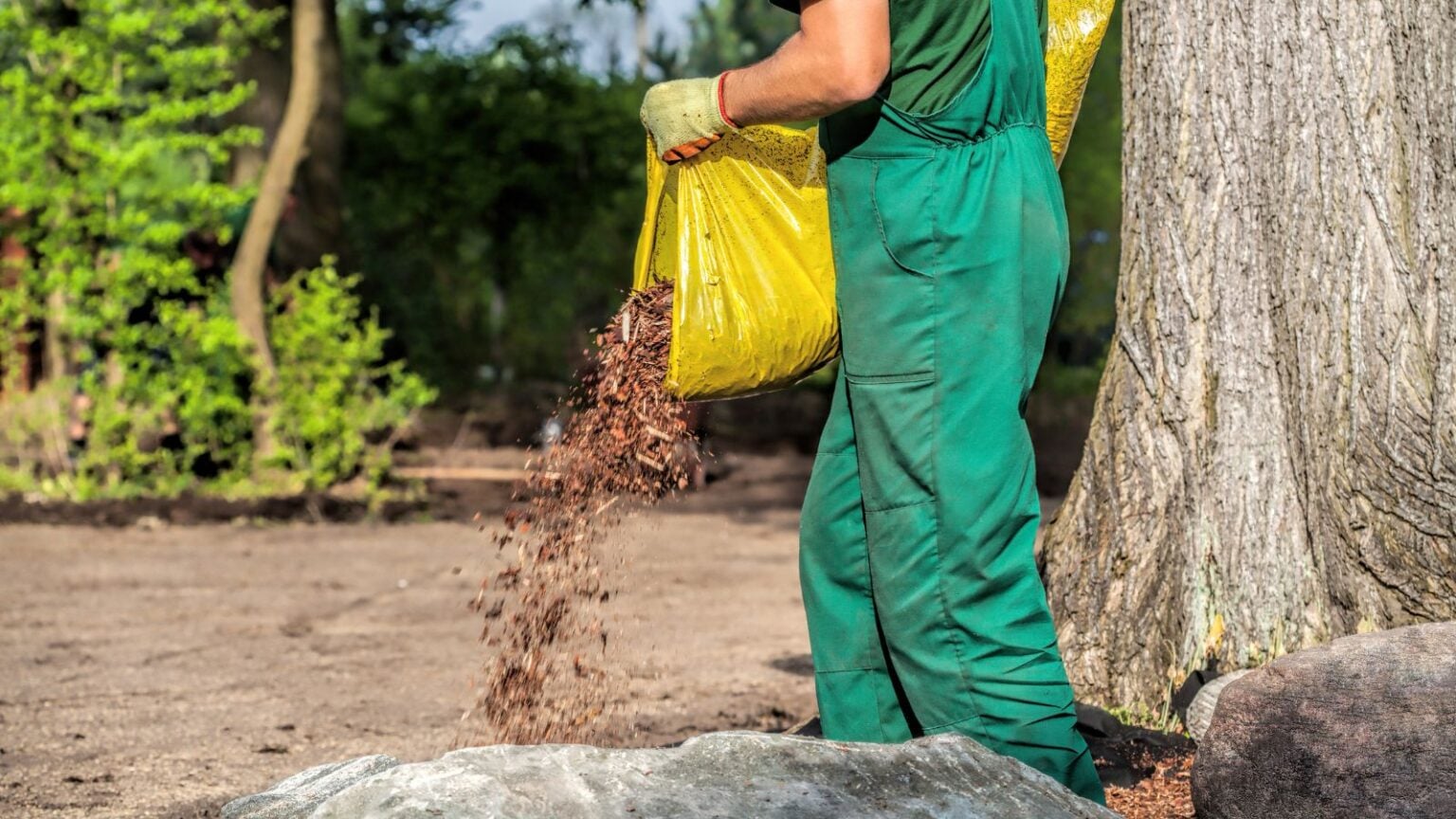 How to Mulch Around Trees