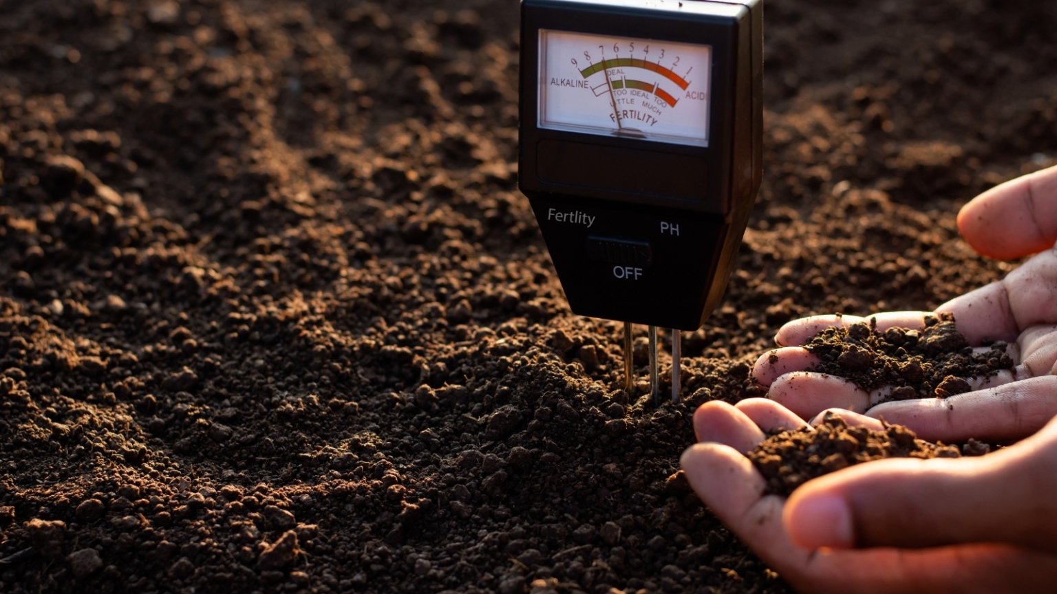 A Beginner's Guide to Soil Amendments For a Healthy Garden