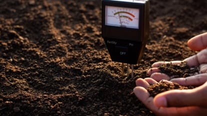 A Beginner's Guide to Soil Amendments For a Healthy Garden