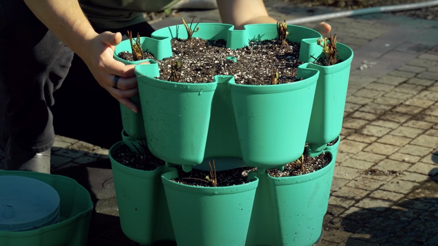 How to Grow Strawberries in Vertical Containers