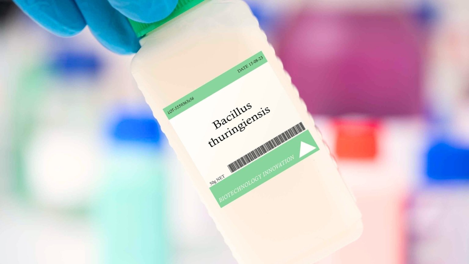 Bacillus Thuringiensis (Bt): What it is and How to Use it