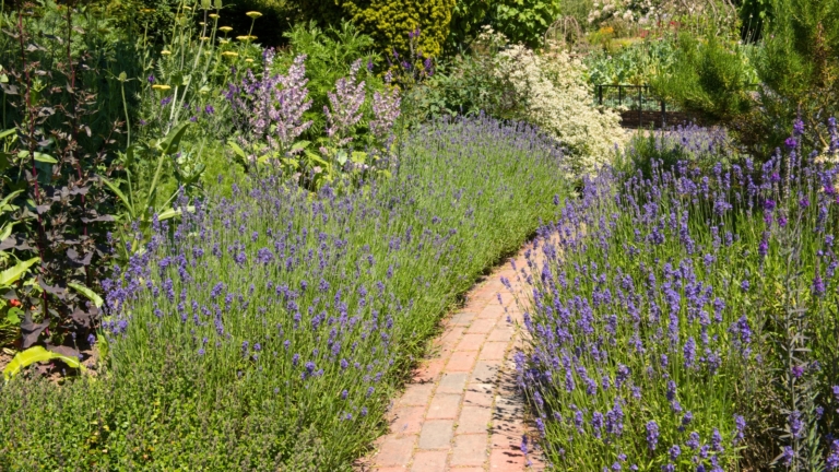 9 Ideas For Creating Your Fairy Tale Cottagecore Garden