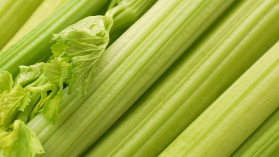 5 Tips For Growing Celery in Raised Beds