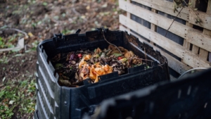 A Beginner's Guide to Soil Amendments For a Healthy Garden
