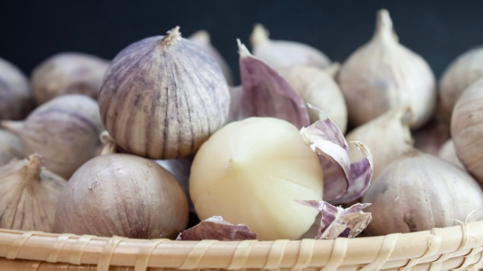 How to Plant, Grow, and Care for Elephant Garlic