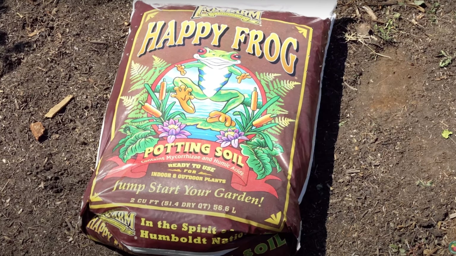 Testing Popular Potting Mixes: Our Surprising Results