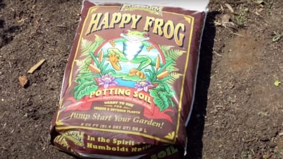 Testing Popular Potting Mixes: Our Surprising Results