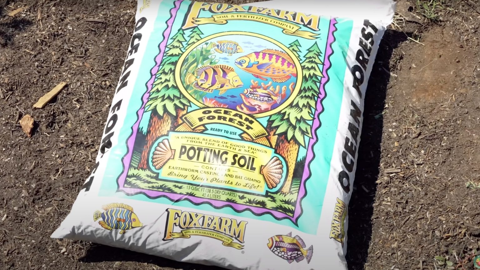 Testing Popular Potting Mixes: Our Surprising Results