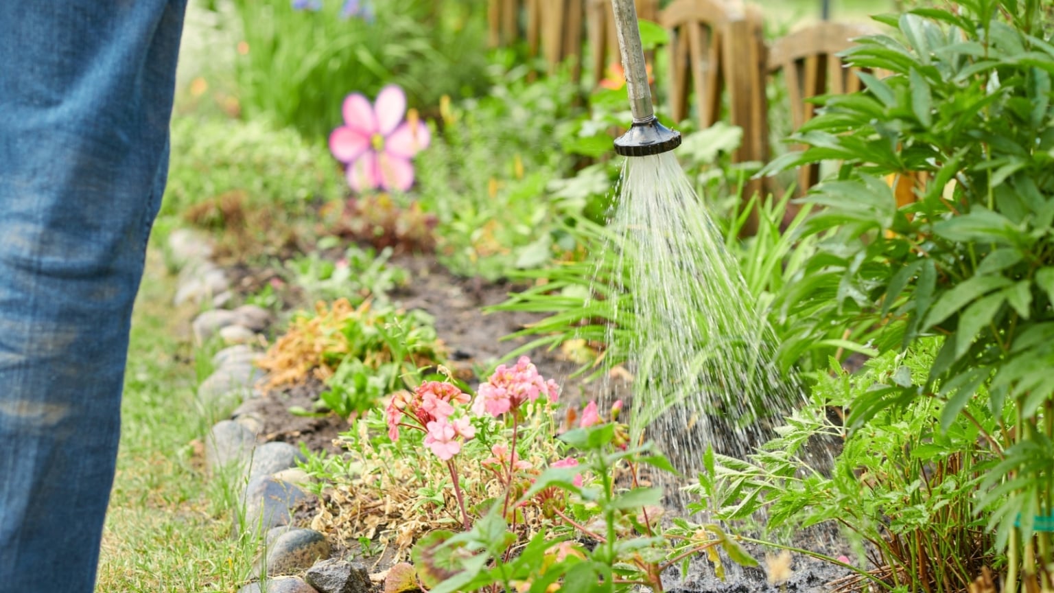 Don't Make These 7 Watering Mistakes in Your Garden