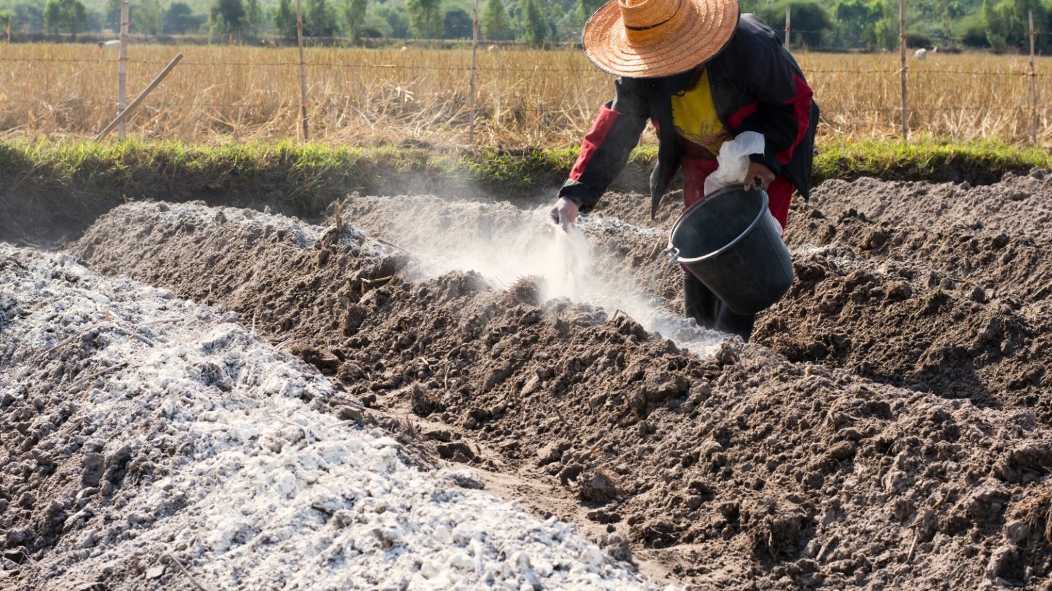 How to Raise Your Soil pH With Garden Lime