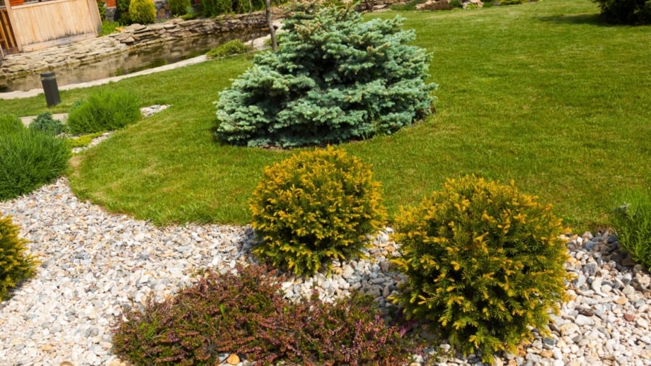 15 Landscape Design Ideas for Challenging Gardens