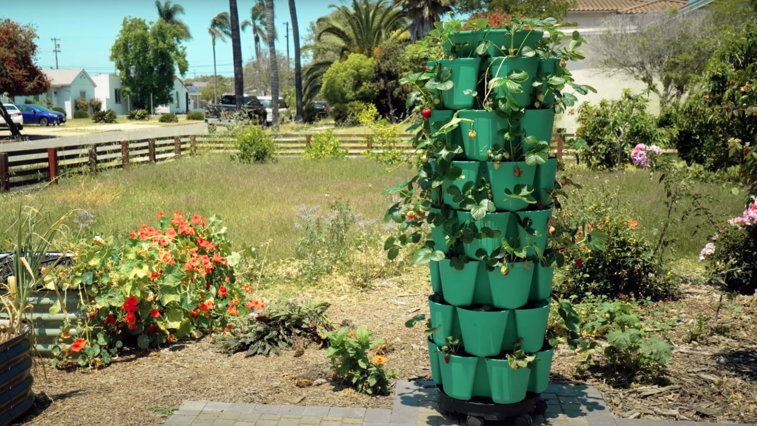 How To Grow Strawberries In Vertical Containers