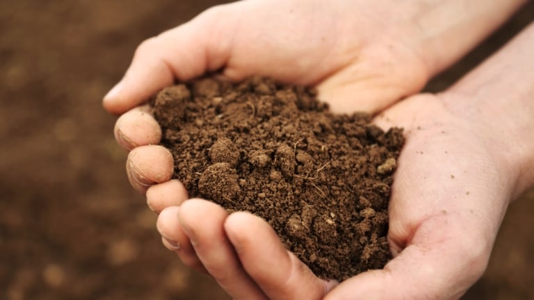 What is Crop Rotation? Benefits and Examples