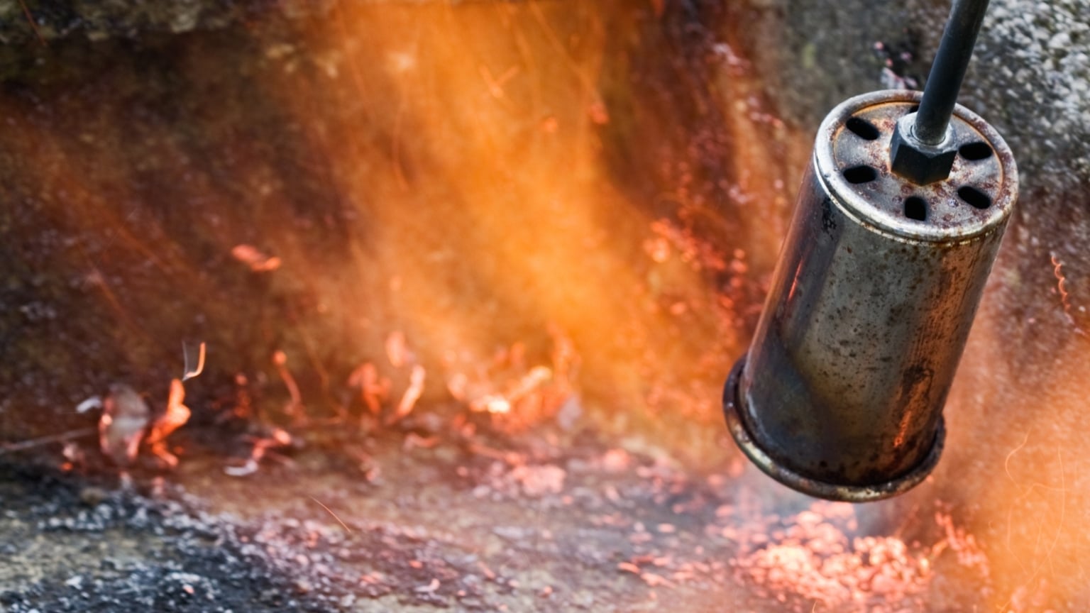 How and Why to Burn Your Weeds
