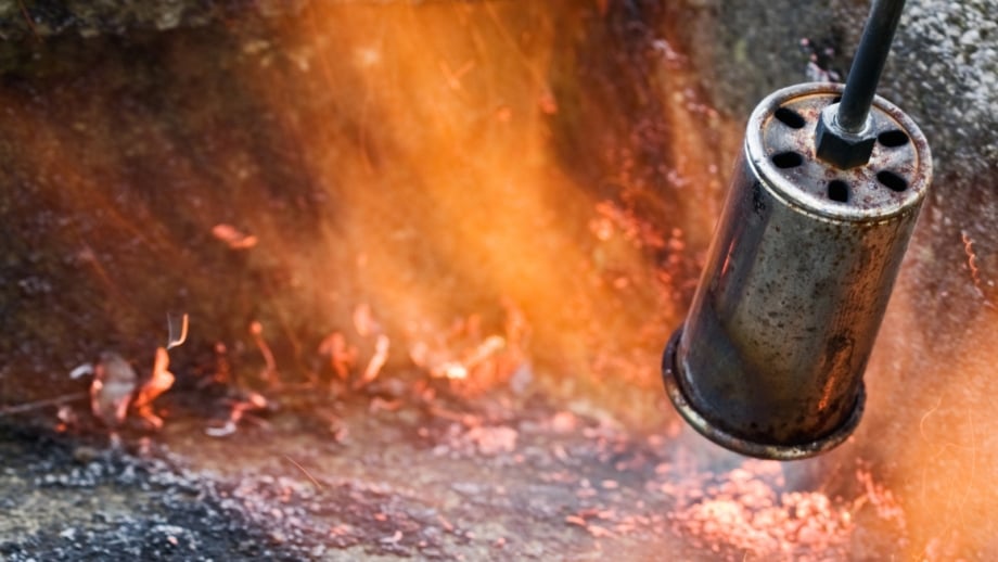 How and Why to Burn Your Weeds