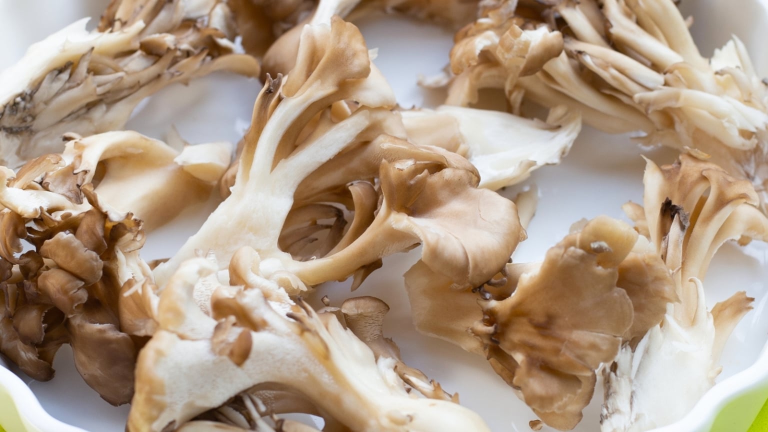 13 Best Mushrooms You Can Grow At Home