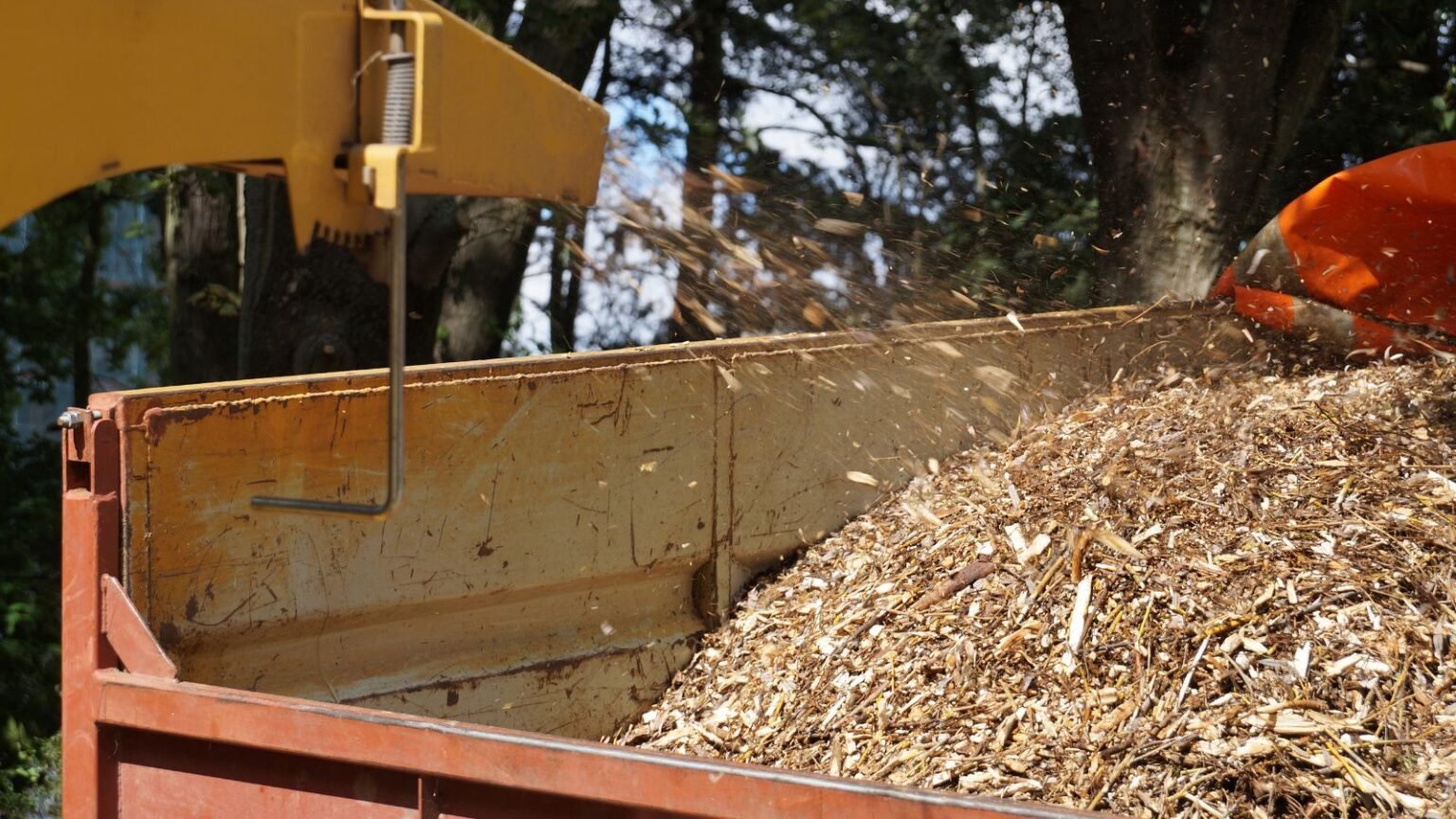 The Pros and Cons of Wood Chip Mulch