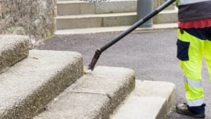 How and Why to Burn Your Weeds