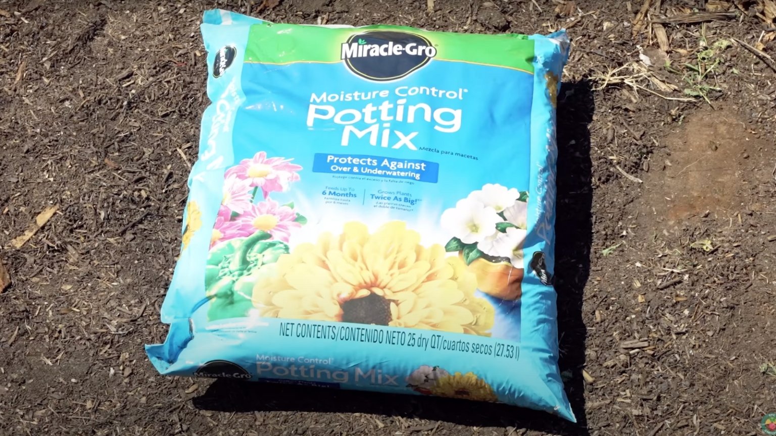 Testing Popular Potting Mixes: Our Surprising Results