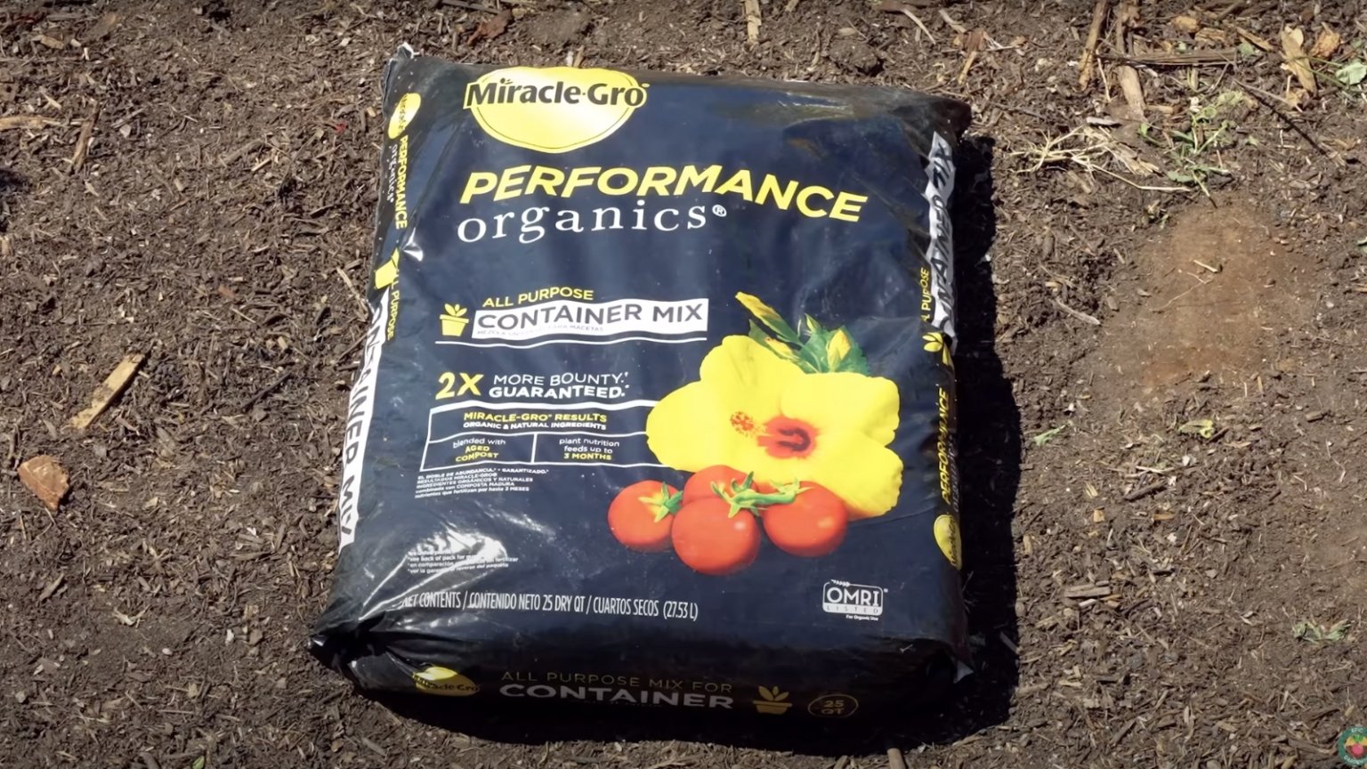 Testing Popular Potting Mixes: Our Surprising Results