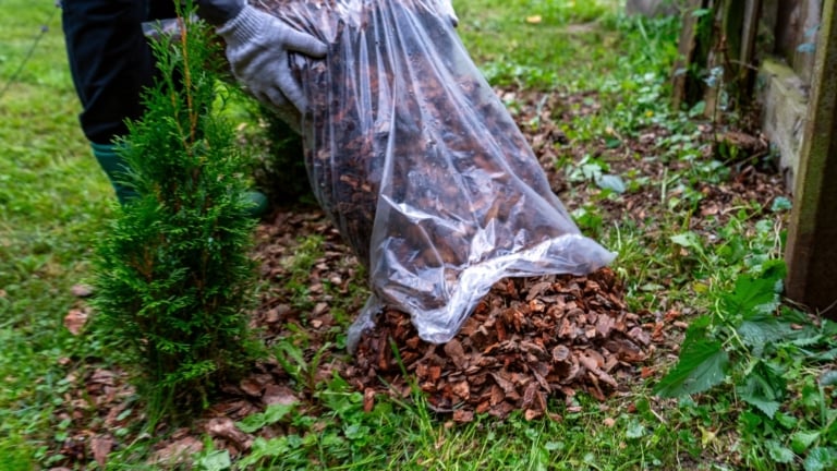 How to Make and Use Leaf Mulch - Epic Gardening