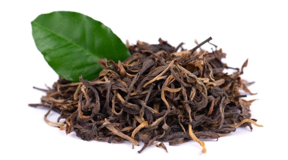 How to Plant and Grow Tea at Home