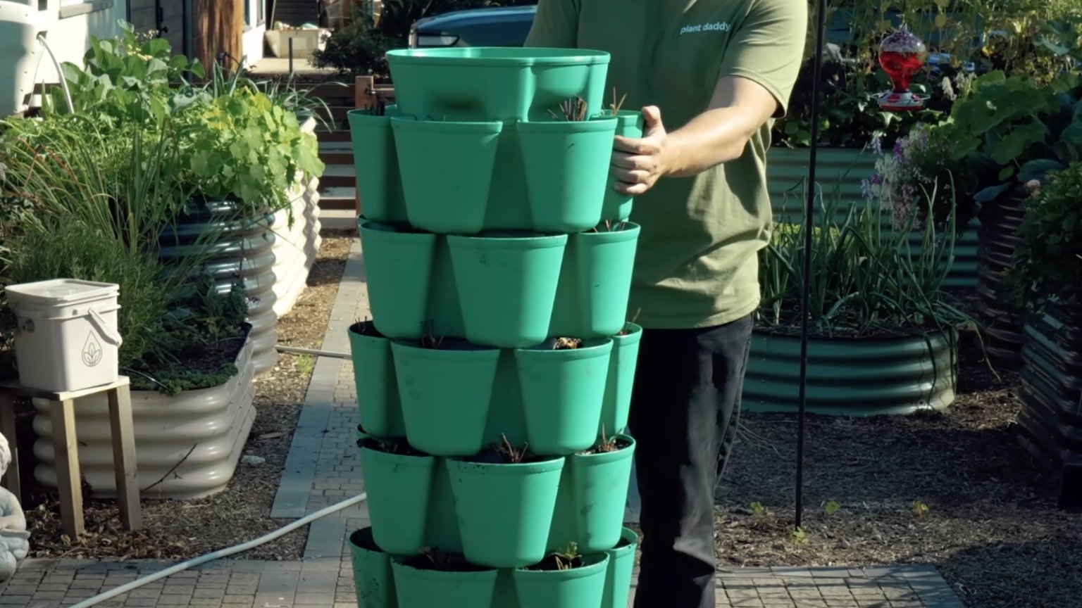 How to Grow Strawberries in Vertical Containers