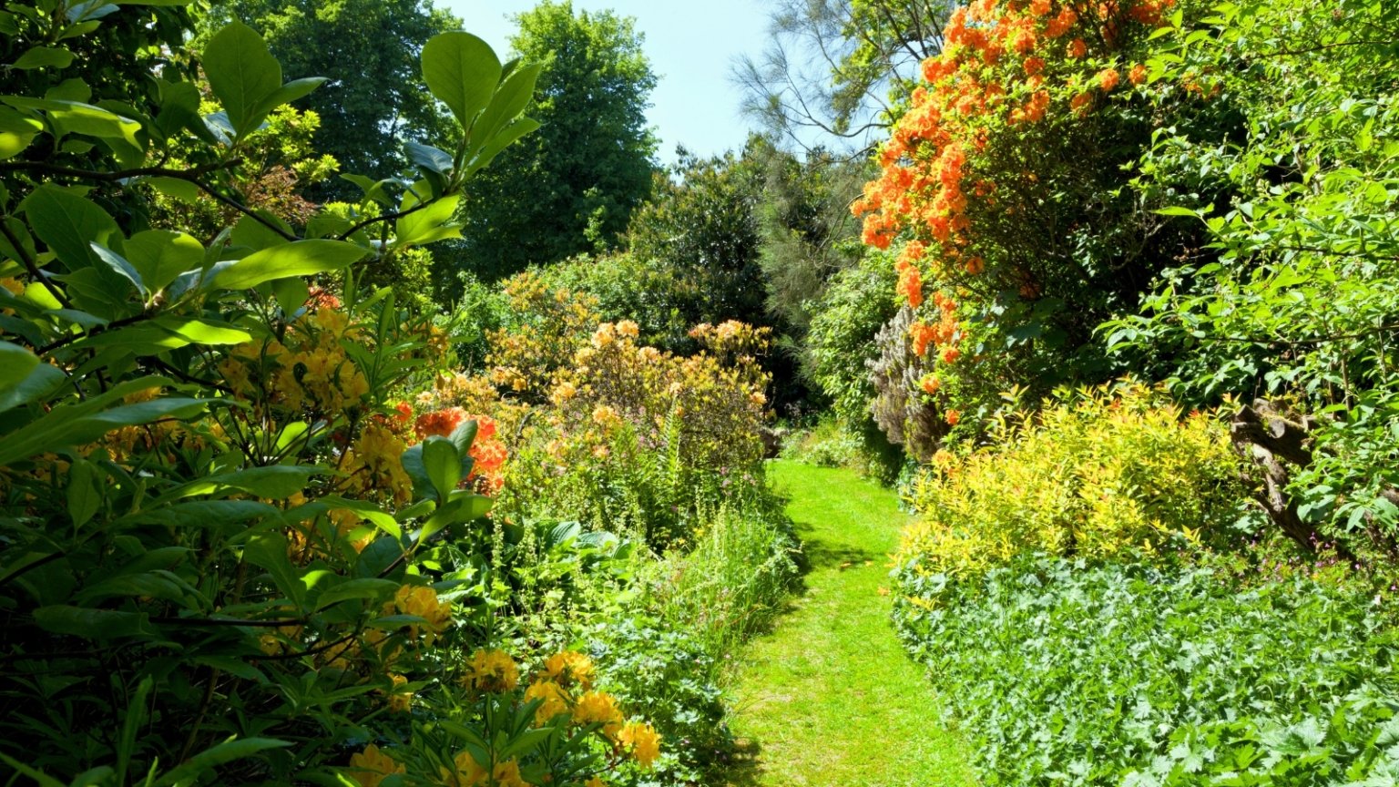 9 Ideas For Creating Your Fairy Tale Cottagecore Garden