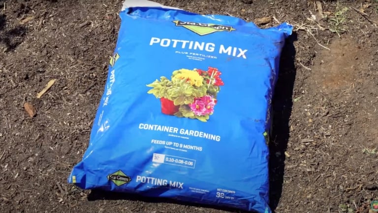Testing Popular Potting Mixes: Our Surprising Results