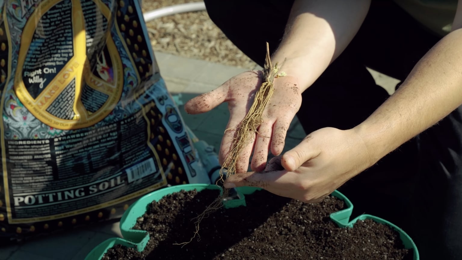 How to Grow Strawberries in Vertical Containers