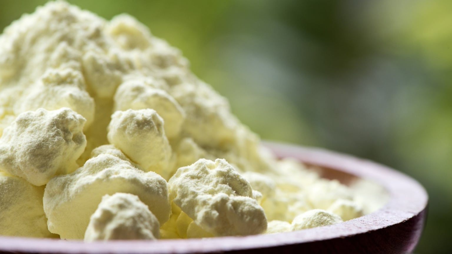 A Beginner's Guide to Soil Amendments For a Healthy Garden
