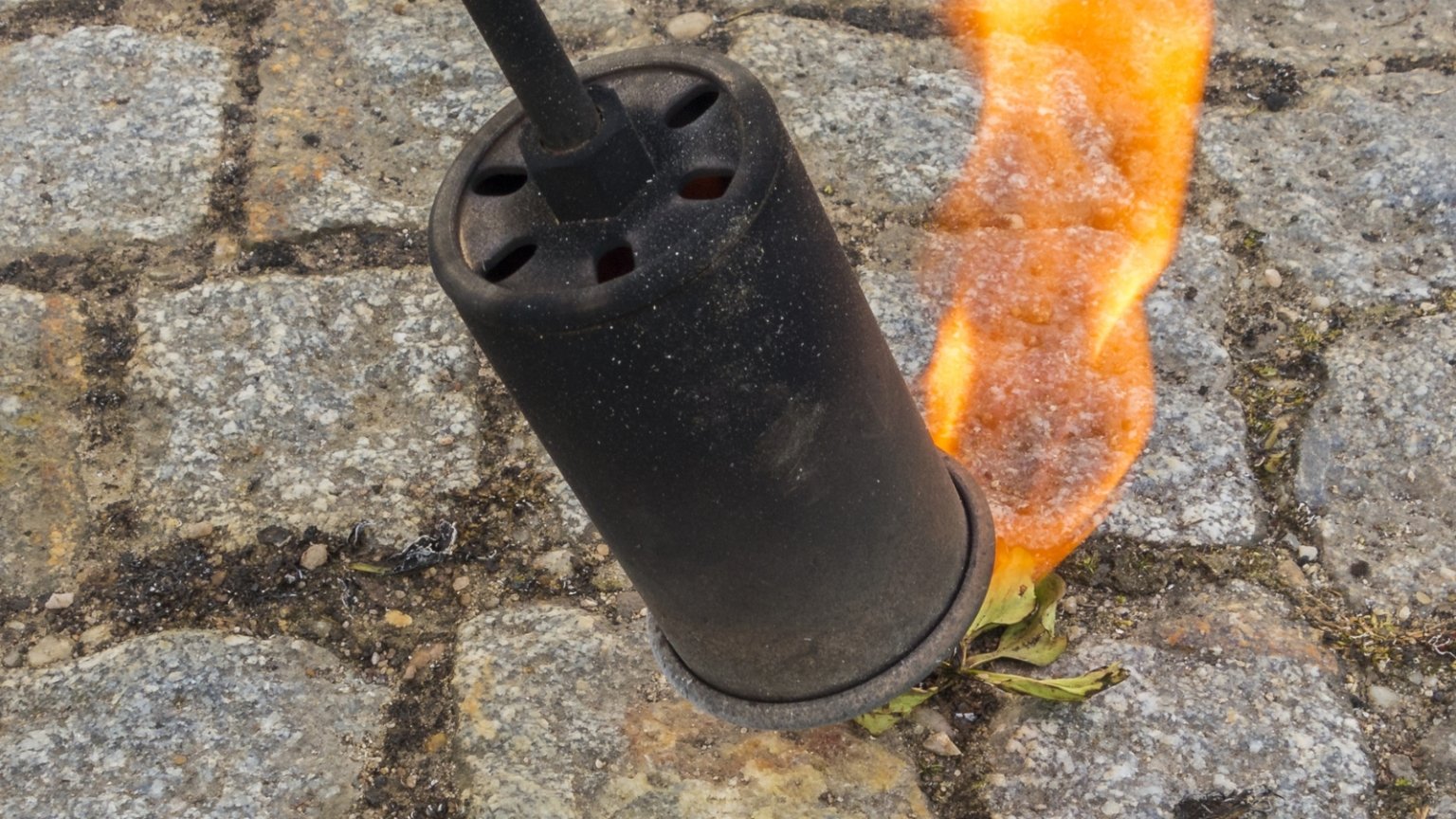 How and Why to Burn Your Weeds