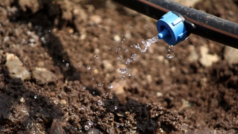 How to Set Up Irrigation for Raised Garden Beds
