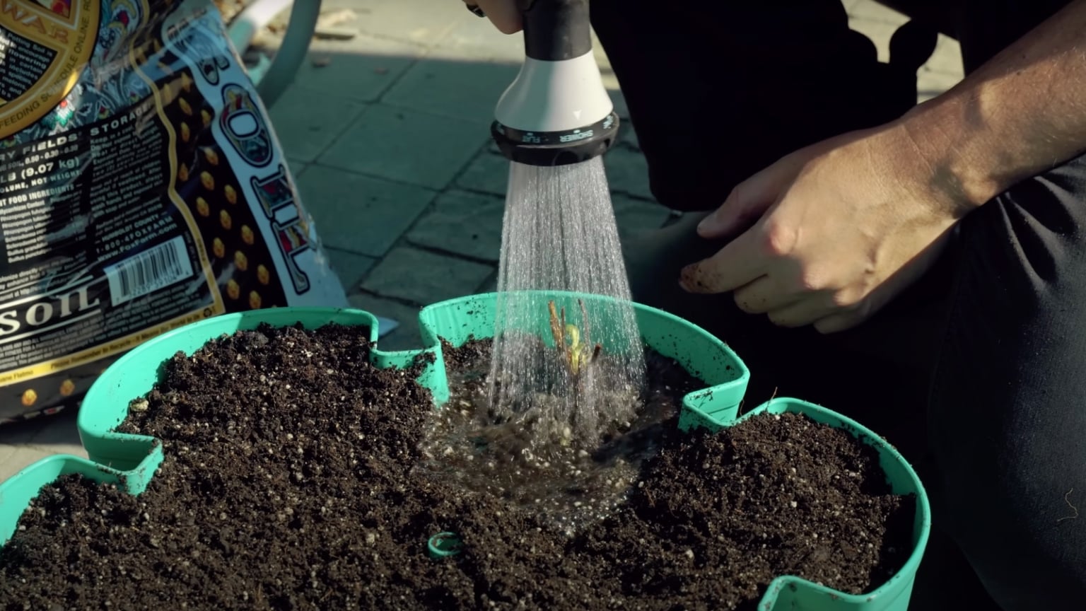 How To Grow Strawberries In Vertical Containers