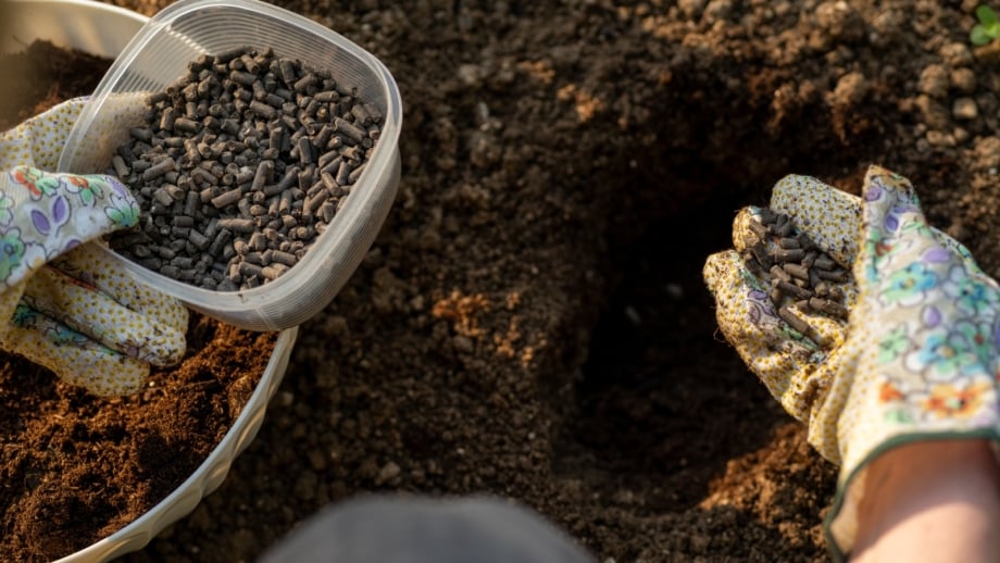 A Beginner's Guide to Soil Amendments For a Healthy Garden